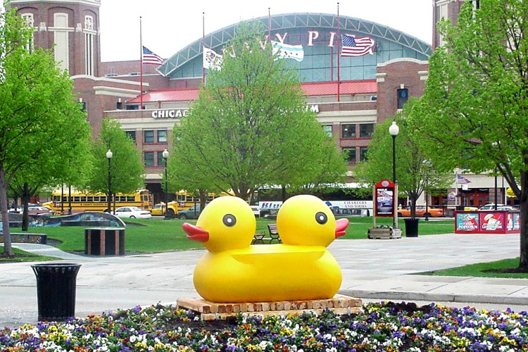 ROB NEILSON, APPLETON – VOL XI